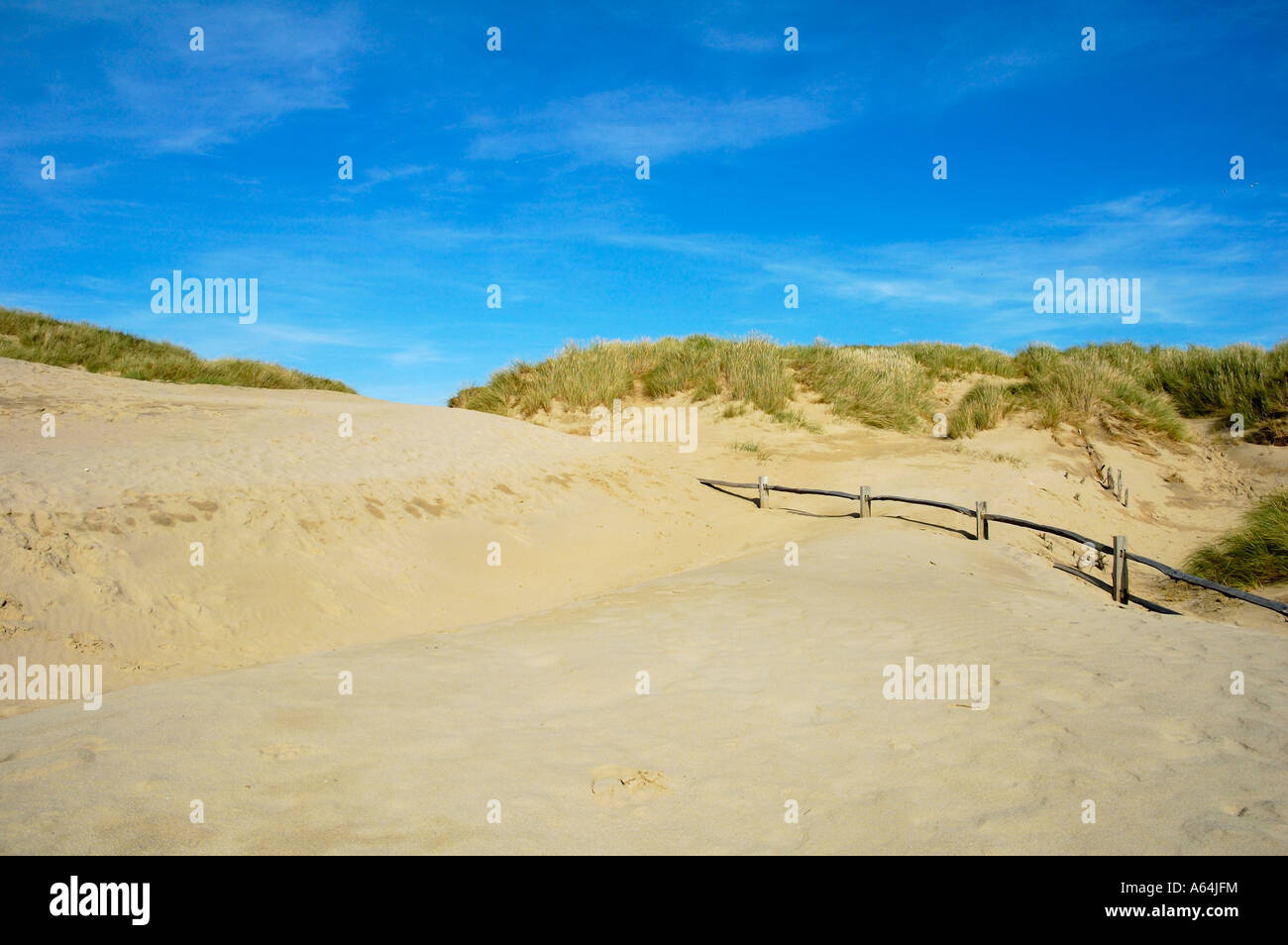 The sand dunes at Camber Sands Rye East Sussex England Stock Photo - Alamy