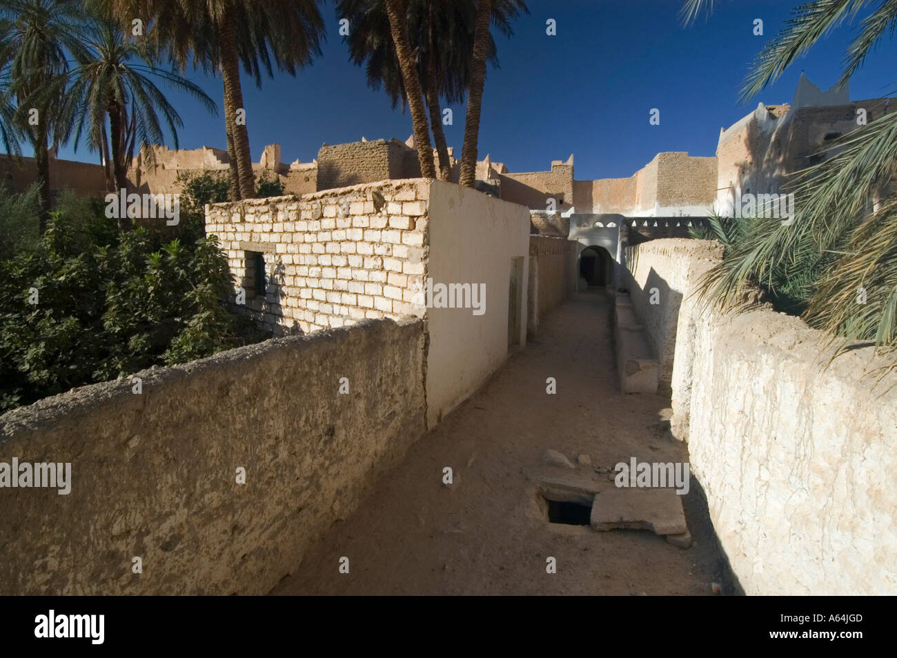 Palm garden at Ghadames, Ghadamis, Libya, Unesco World Heritage Site ...