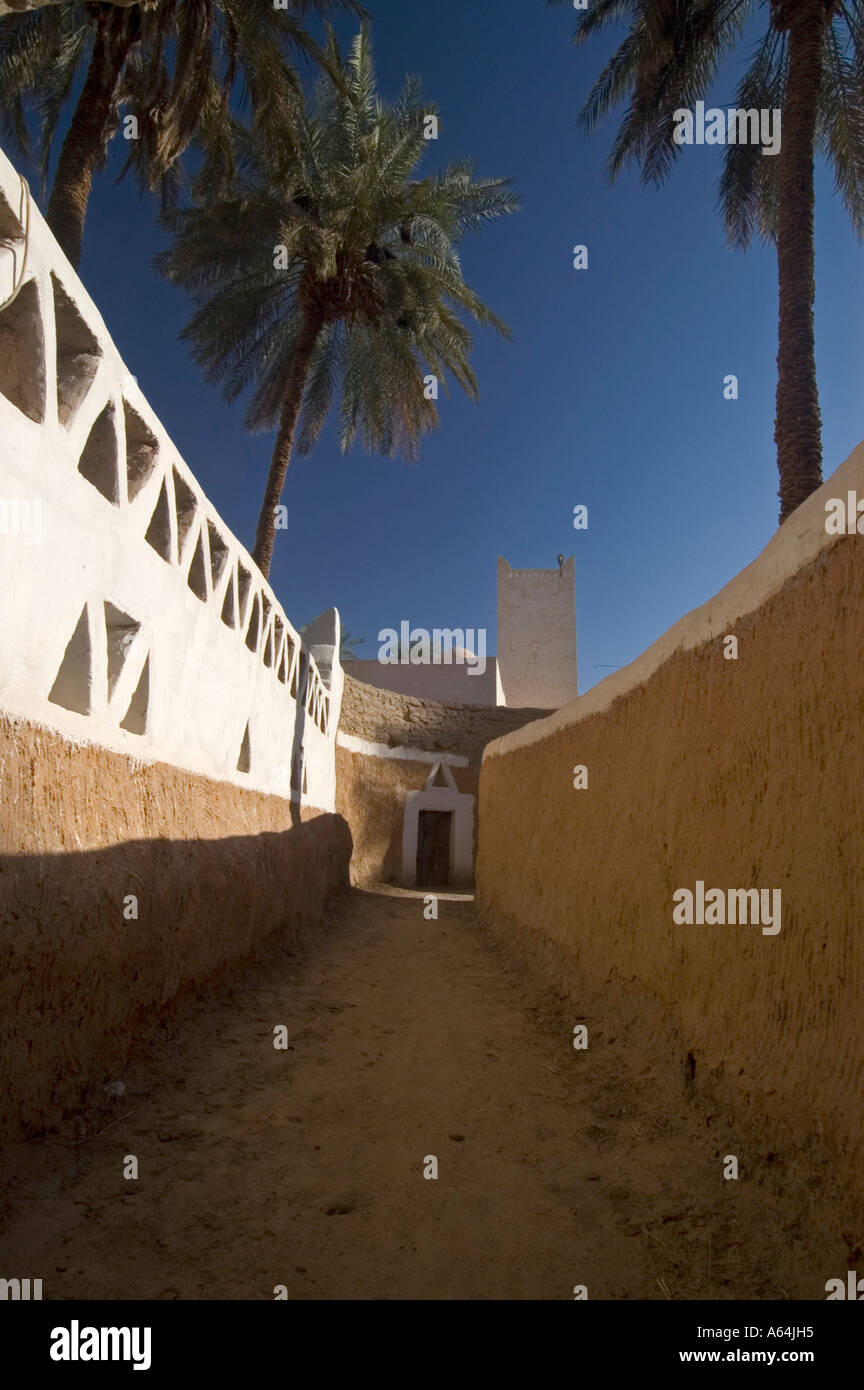 Palm garden at Ghadames, Ghadamis, Libya, Unesco World Heritage Site ...