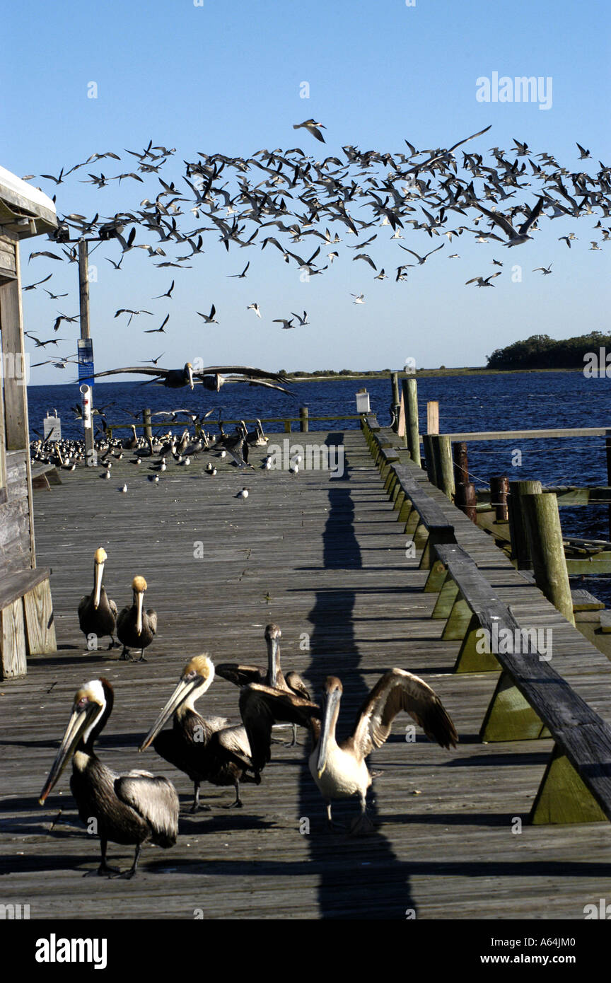 Cedar Key Florida Dock Street Stock Photo - Alamy
