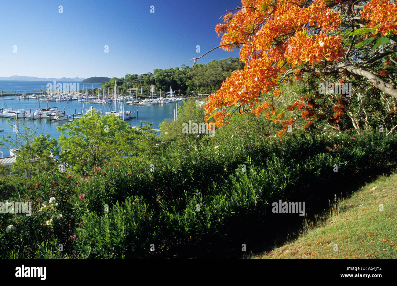 Harbour of Hamilton Island, Whitsunday Islands, Great Barrier Reef ...