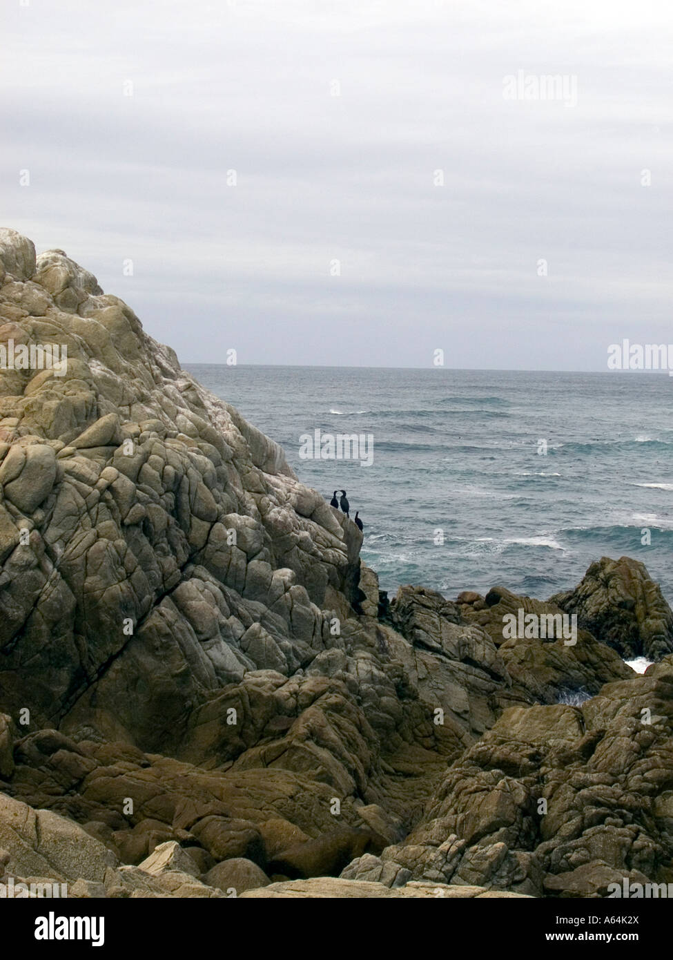 Rock Outcropping on the Pacific ocean Stock Photo - Alamy