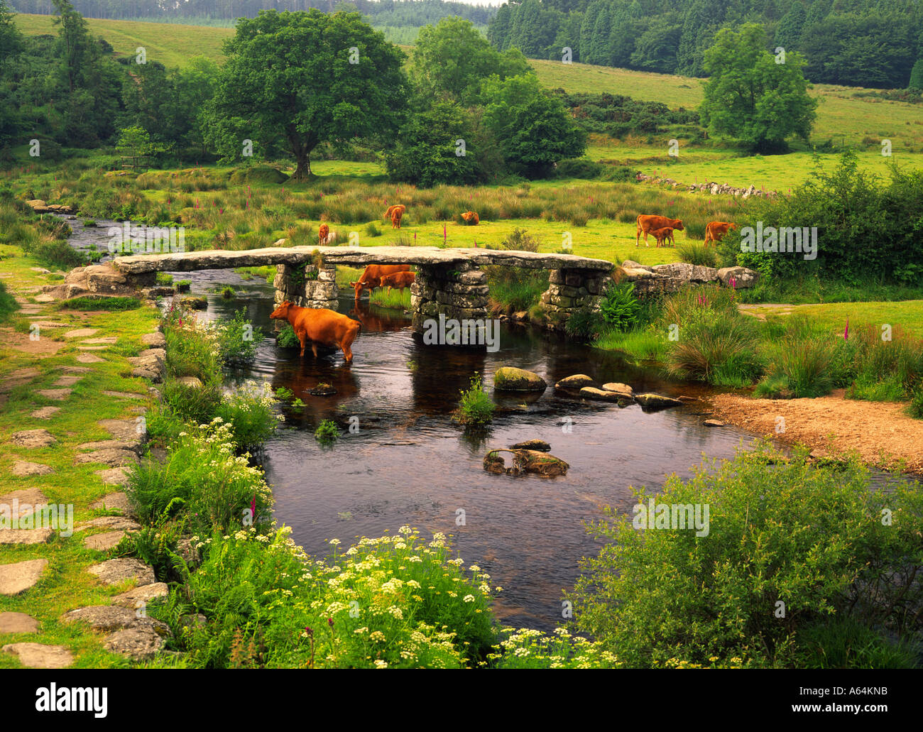 The Clapper bridge on Dartmoor, Devon Stock Photo - Alamy