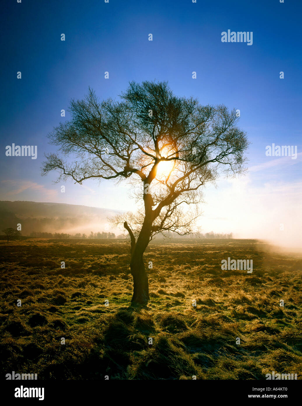 Morning mist on Lawrence field in the Peak District, Derbyshire Stock ...