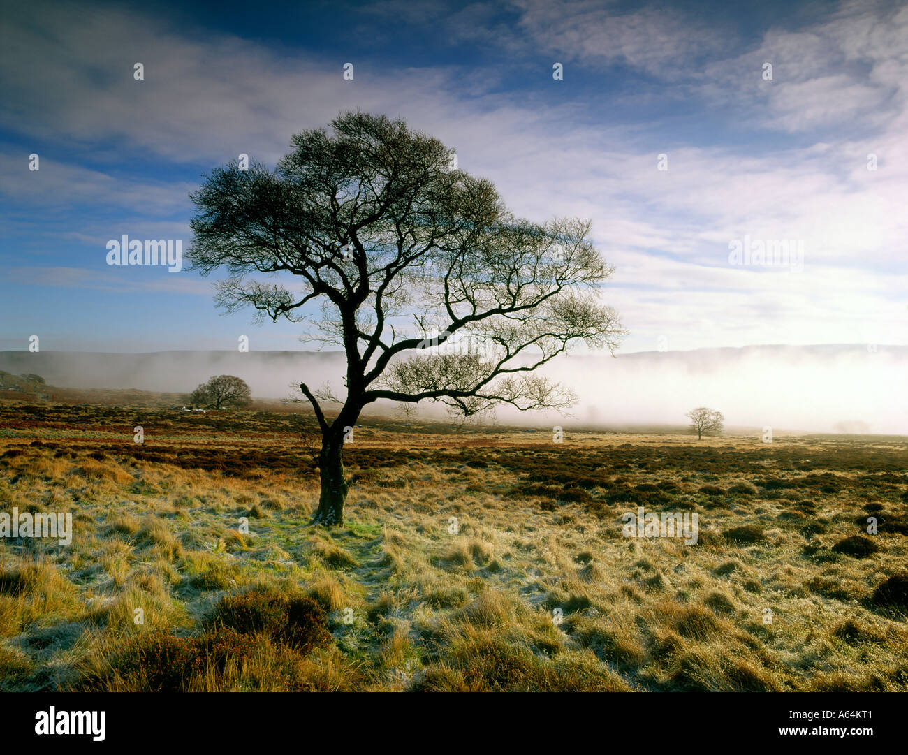 Morning mist on Lawrence field in the Peak District, Derbyshire Stock ...