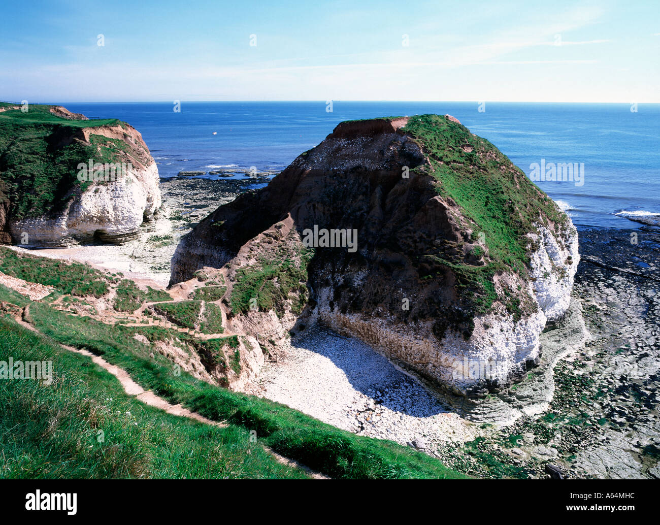 Chalk stack at Flamborough Head East Yorkshire Stock Photo - Alamy