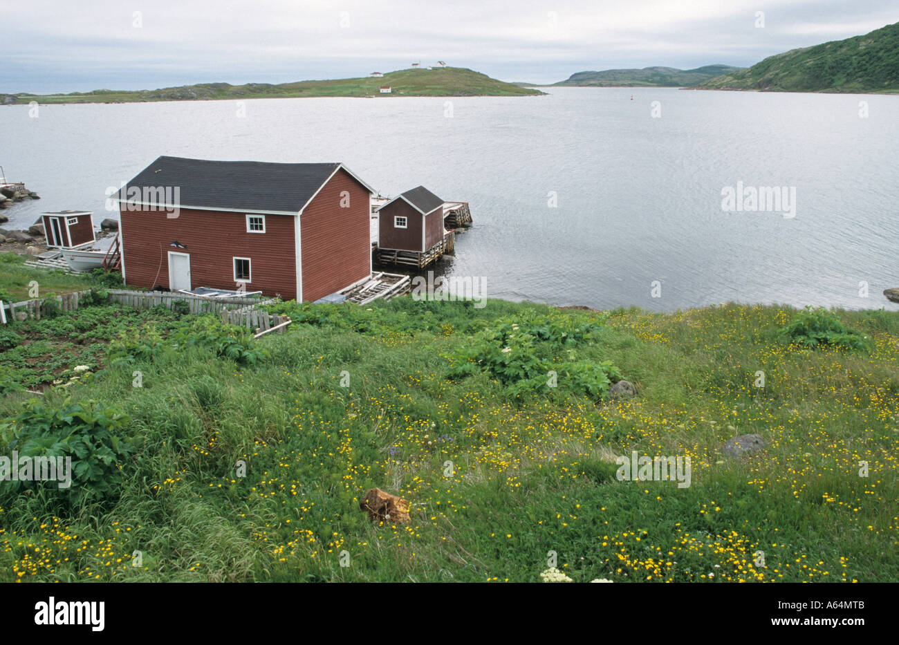 Fishing cabin at Red Bay the old basque whaling station, Red Bay ...