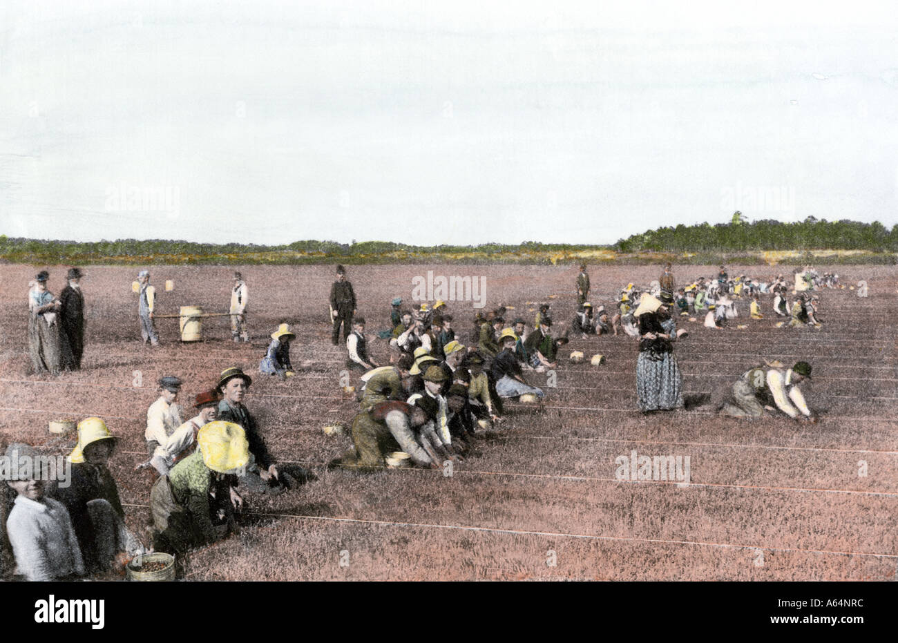 Child labor england hi-res stock photography and images - Alamy