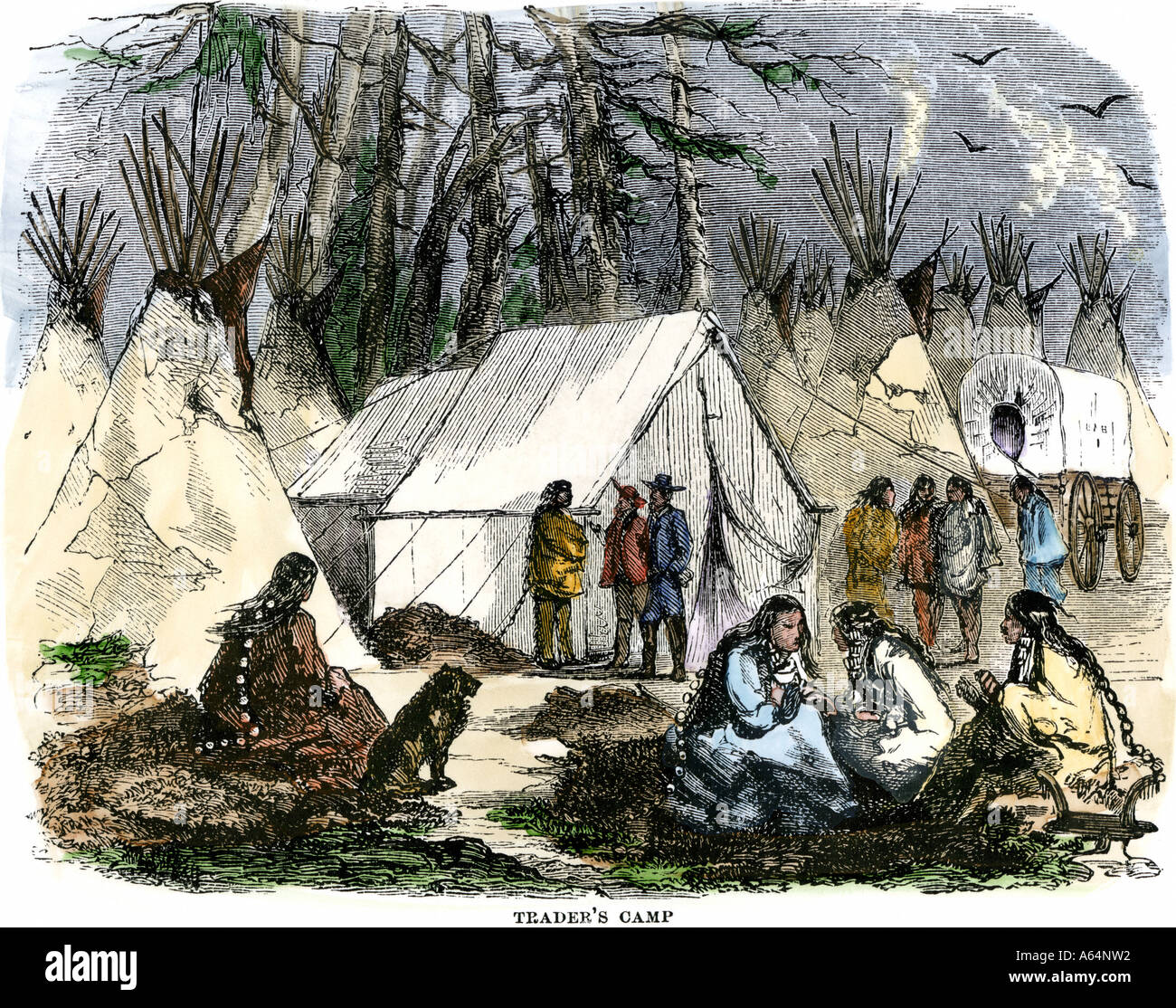 White traders camping among Native Americans to barter for buffalo ...