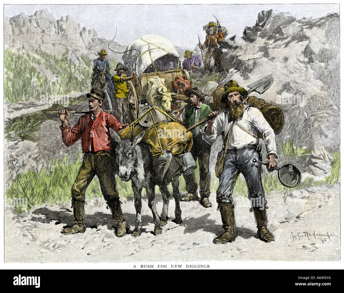 Gold prospector donkey hi-res stock photography and images - Alamy