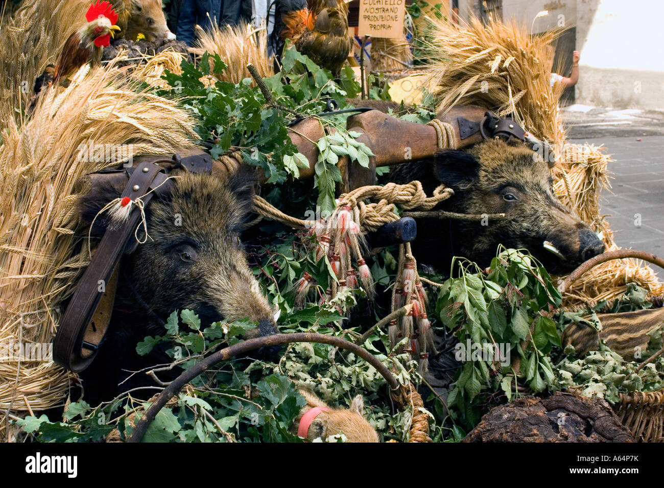 Wild boar shop display Stock Photo - Alamy