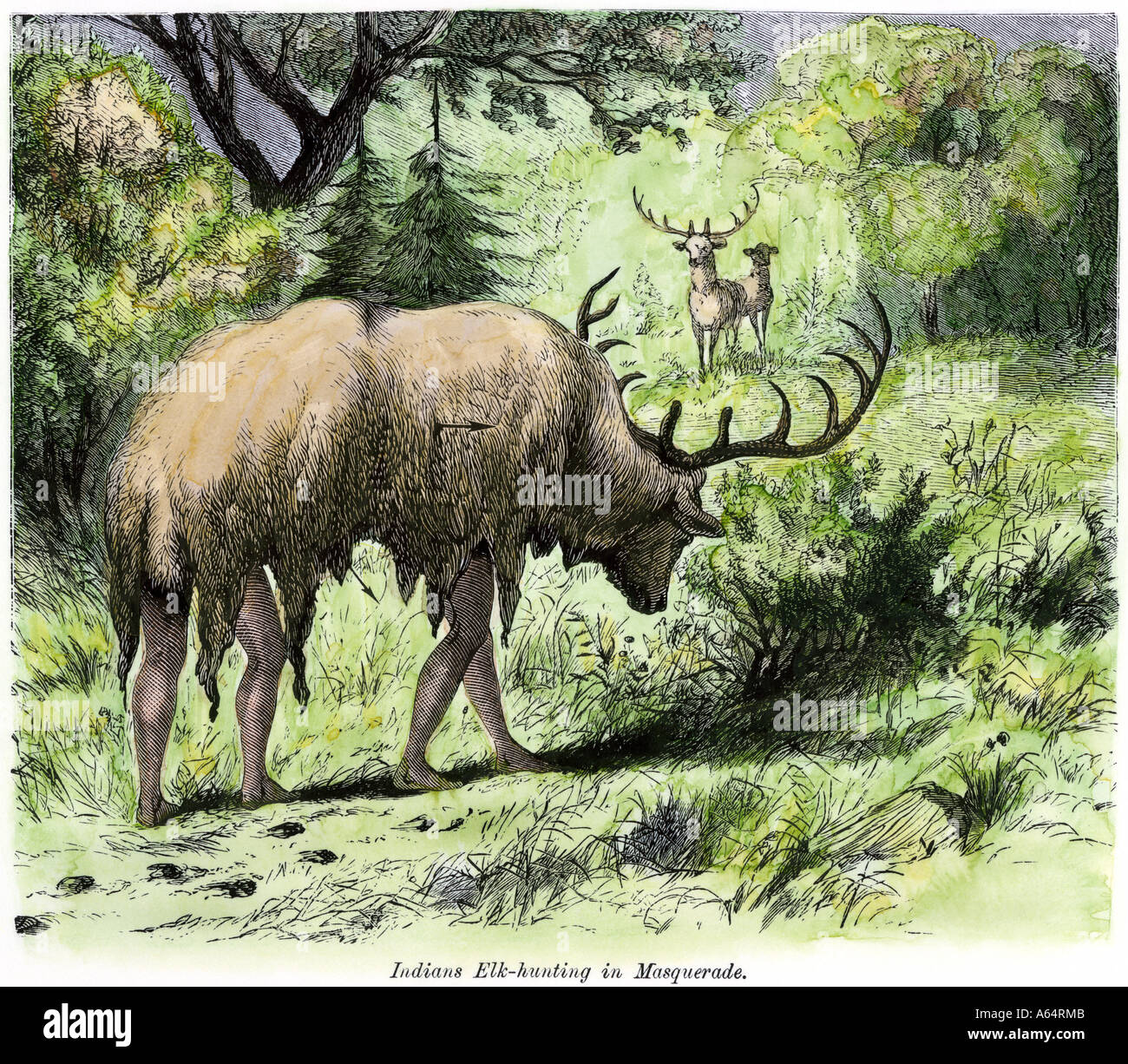Elk hunter historic hi-res stock photography and images - Alamy