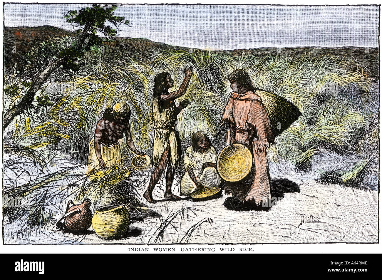 Native Americans Gathering