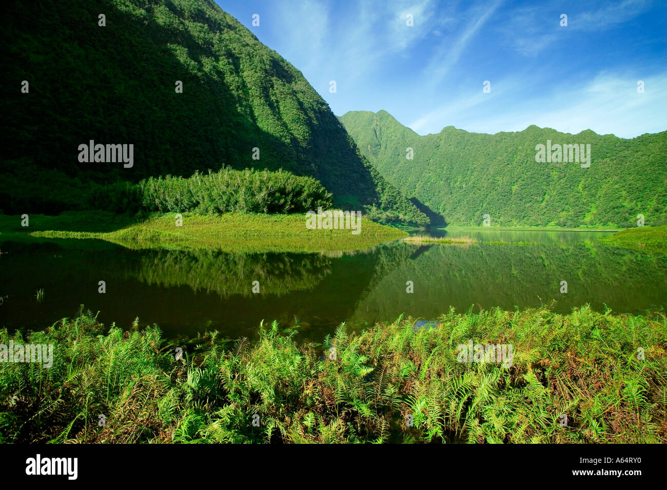 Grand Etang - Reunion island Stock Photo - Alamy