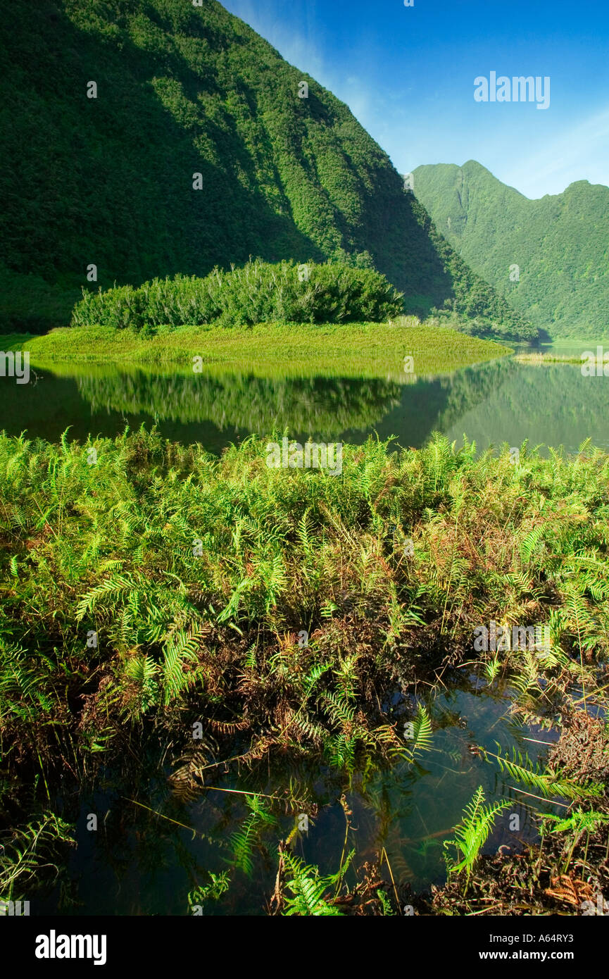 Grand Etang - Reunion island Stock Photo - Alamy