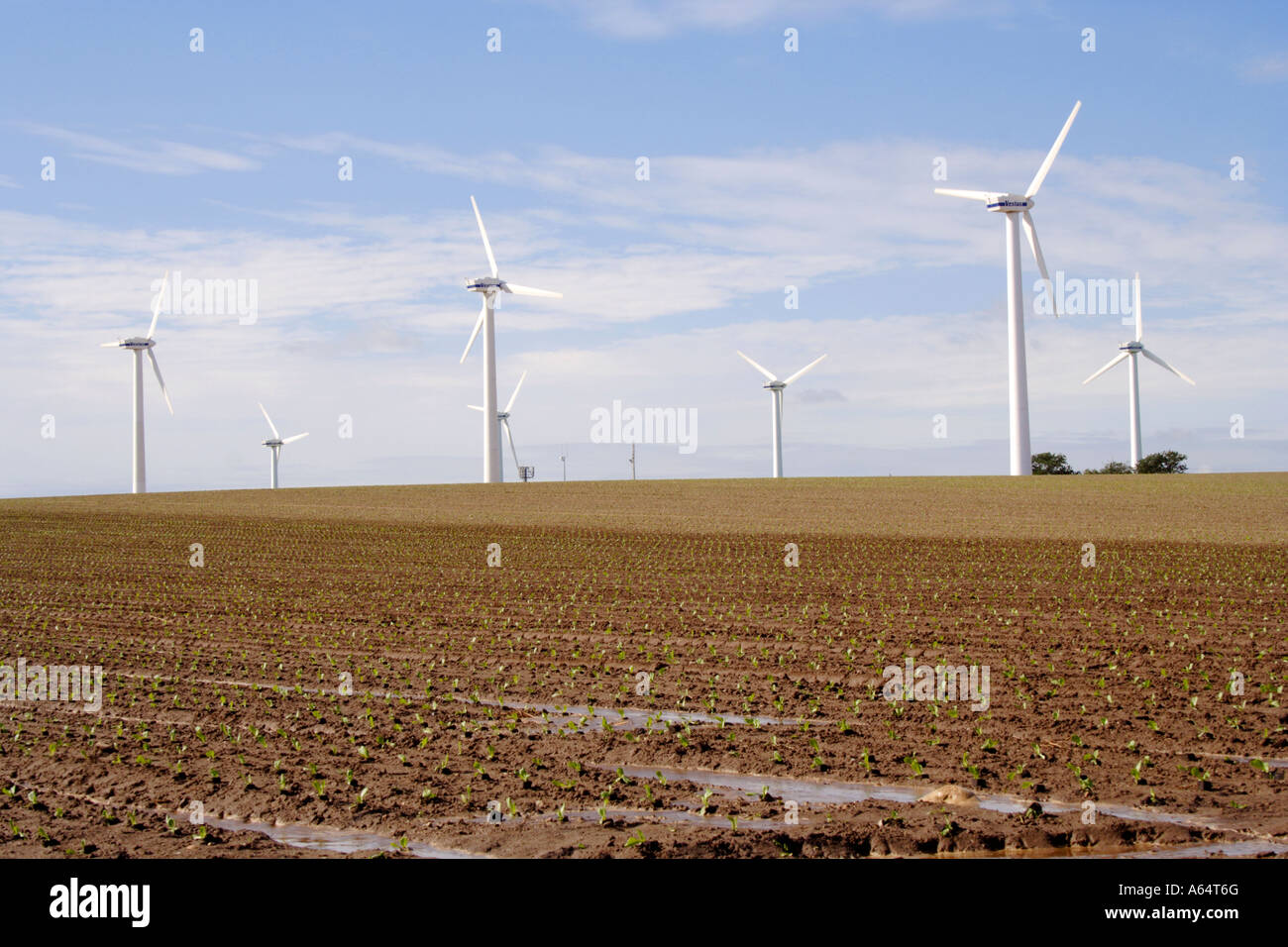 wind farm in Norfolk Stock Photo - Alamy