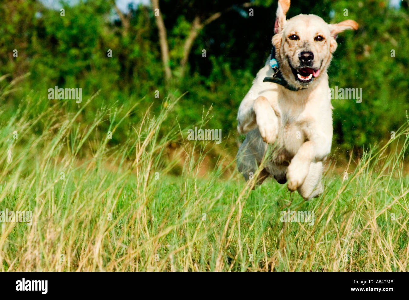 Ride through games and play hi-res stock photography and images - Alamy