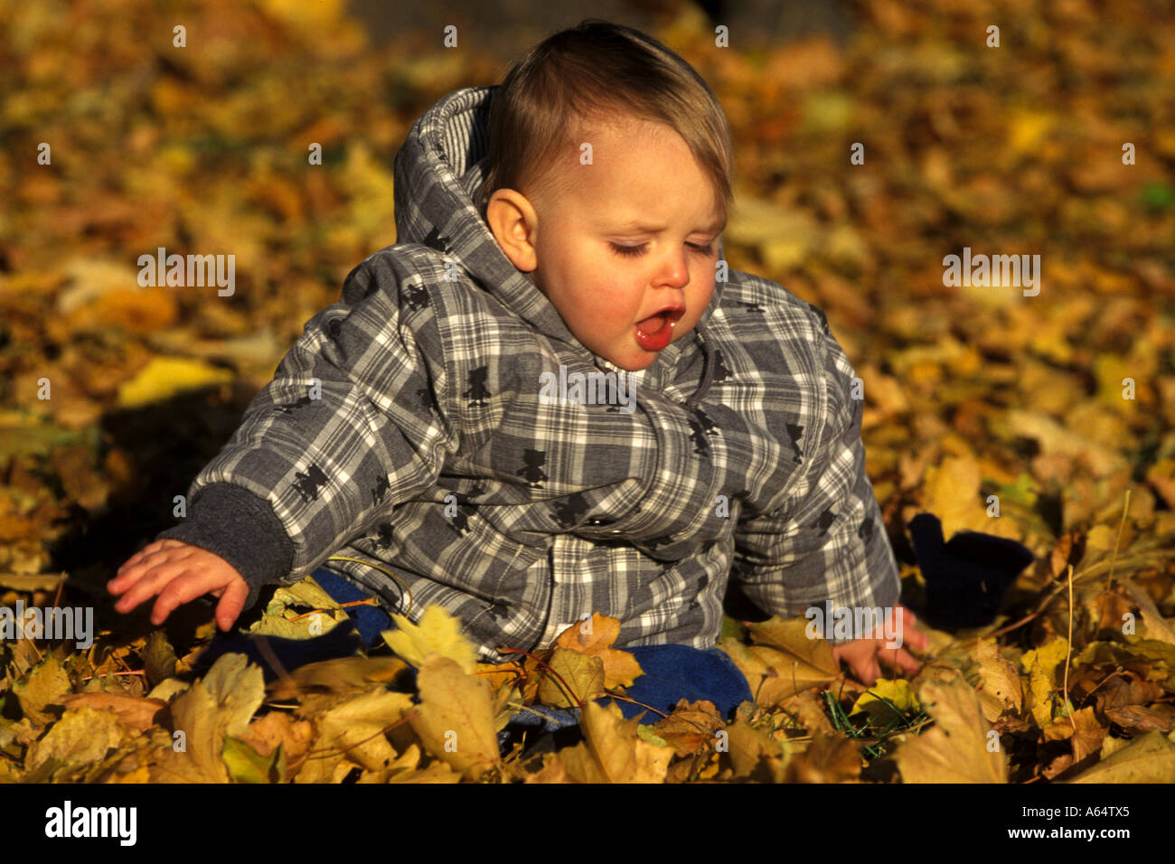 Children with babies hi-res stock photography and images - Alamy