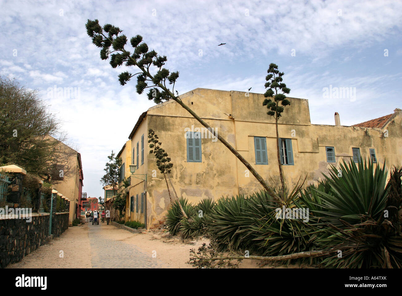 Traditional senegalese architecture hi-res stock photography and images ...