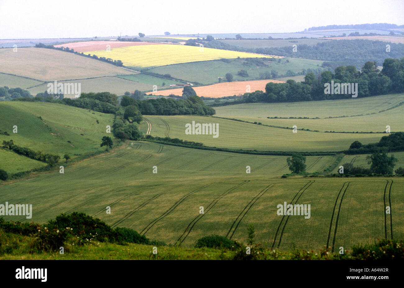 UK England Dorset Batcombe patchwork of agricultural fields Stock Photo ...