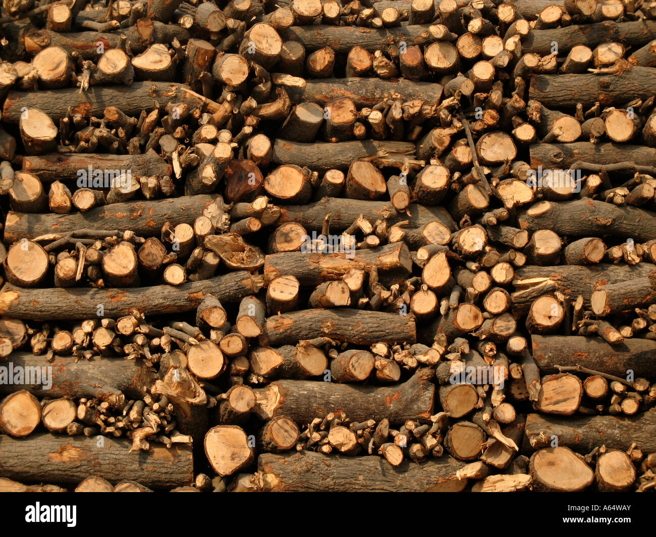 A pile of stacked fire wood Stock Photo - Alamy