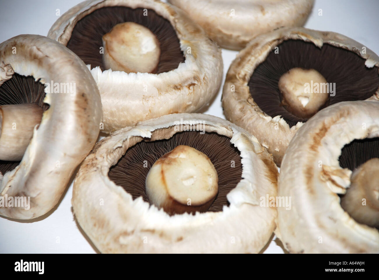 Raw mushrooms close up Cut Out Stock Images & Pictures - Alamy