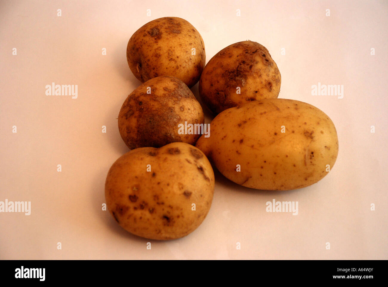 Maris Piper potatoes Stock Photo - Alamy