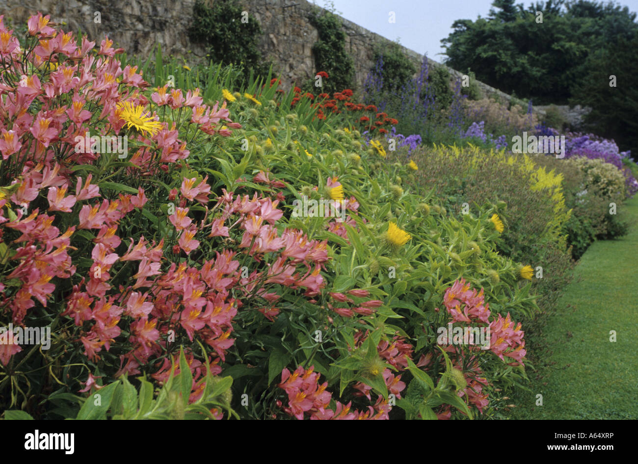 Pitmedden Garden, Aberdeenshire, Scotland Stock Photo - Alamy