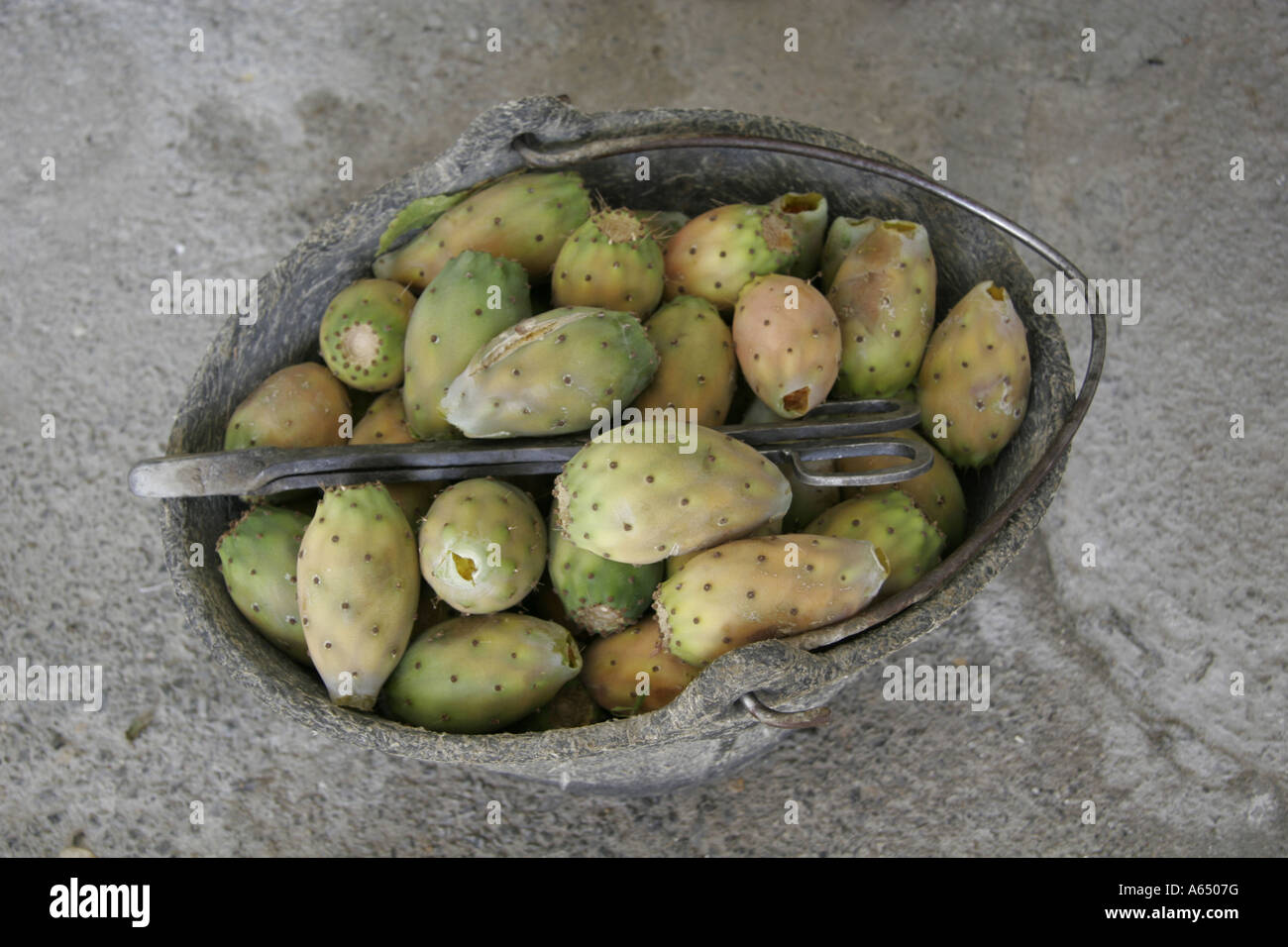 a bowl of prickly pears Stock Photo - Alamy