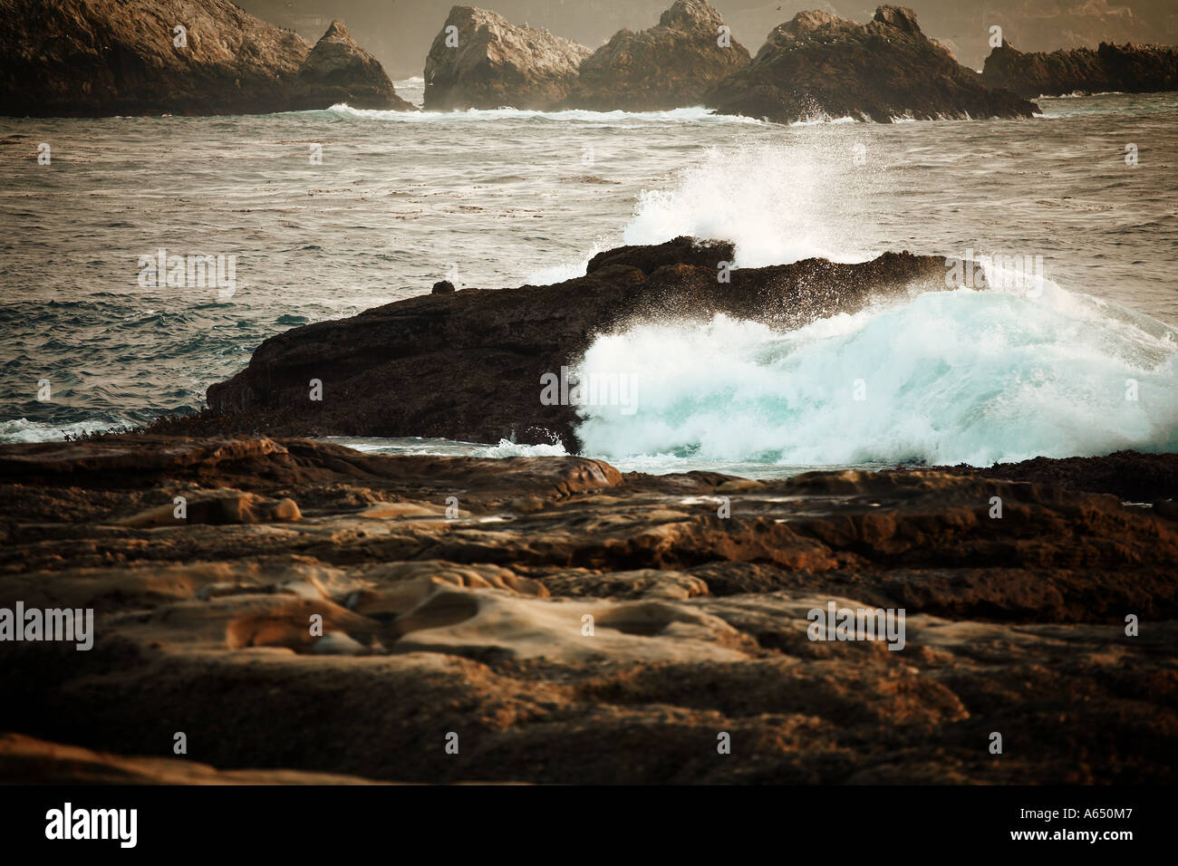 Point lobos state park diving hi-res stock photography and images - Alamy