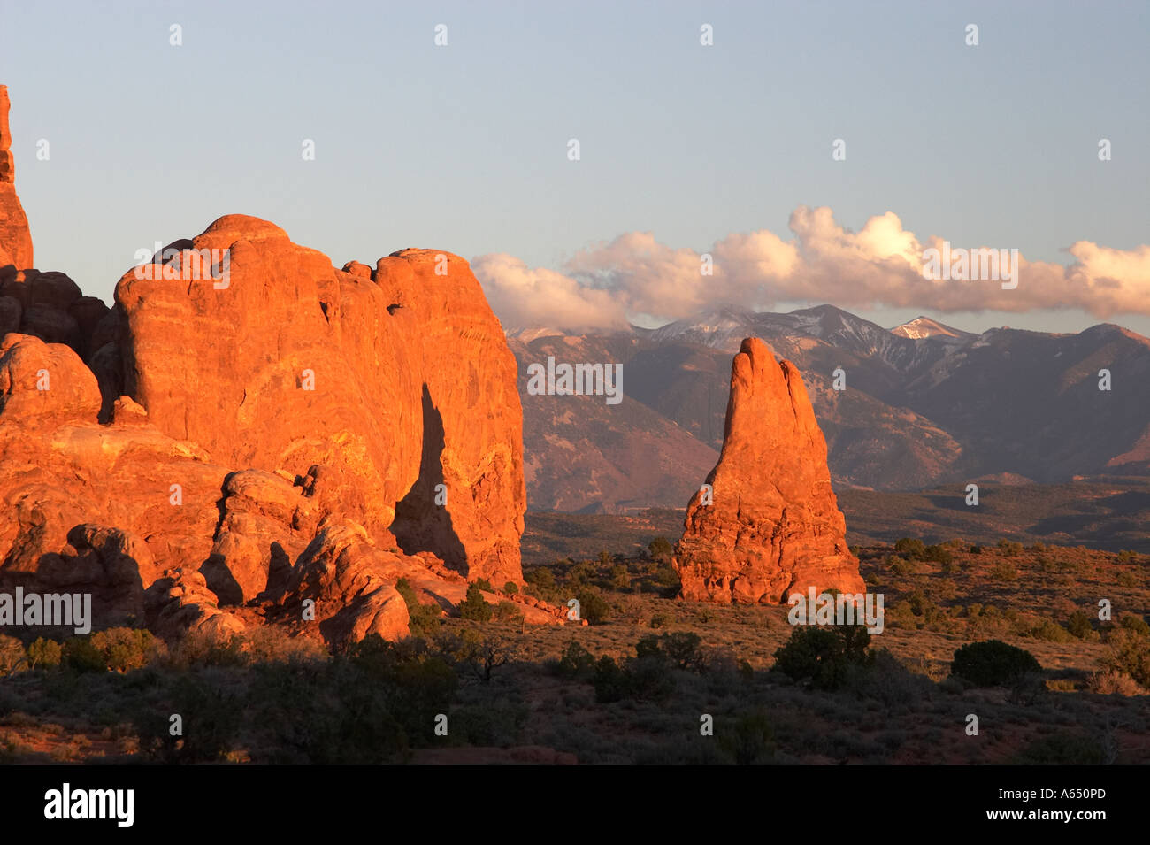 Parade of elephants rocks hi-res stock photography and images - Alamy