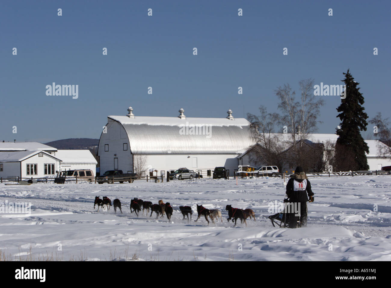 Huskies alaska musher hi-res stock photography and images - Alamy