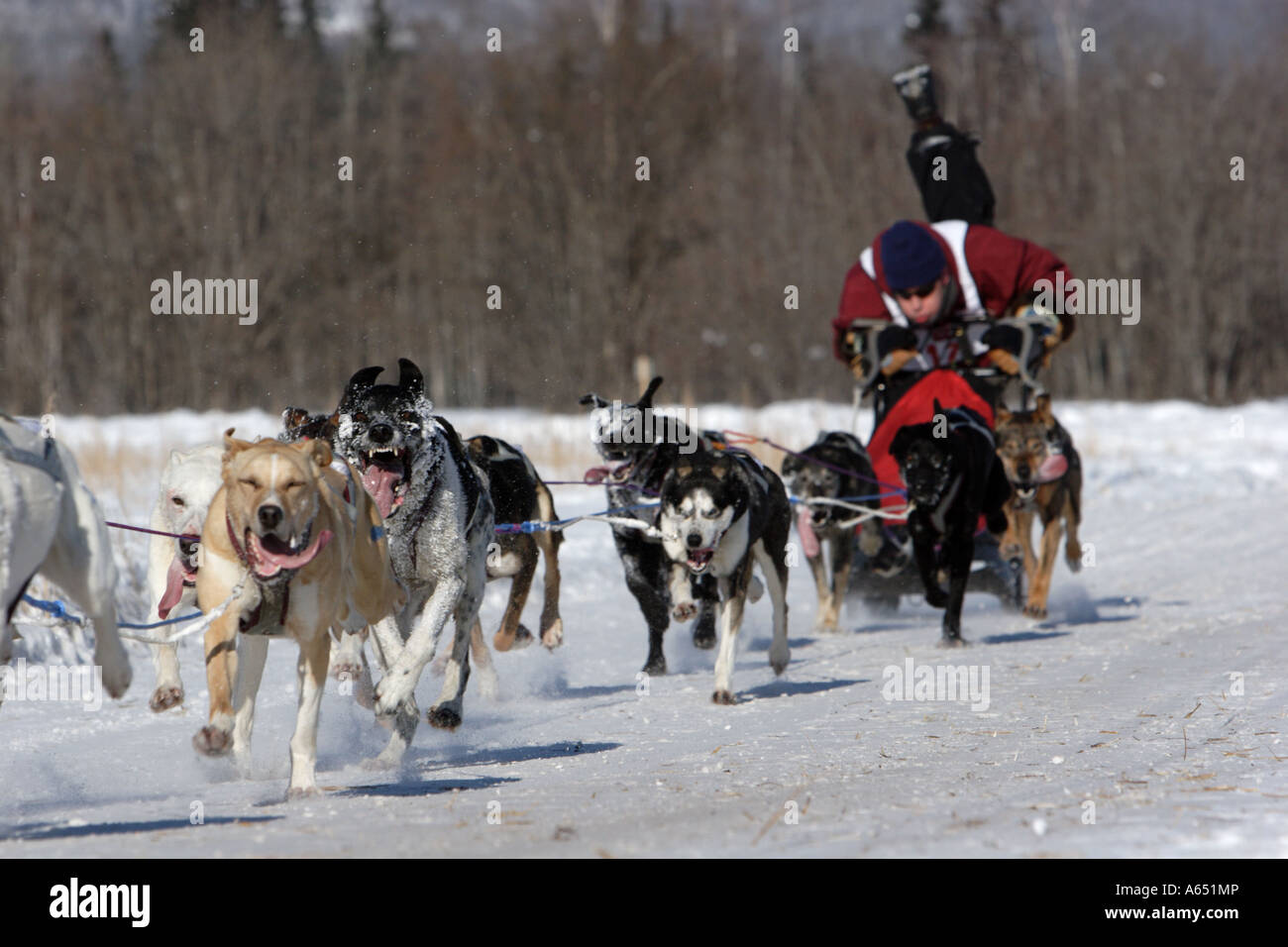 North american championships hi-res stock photography and images - Alamy