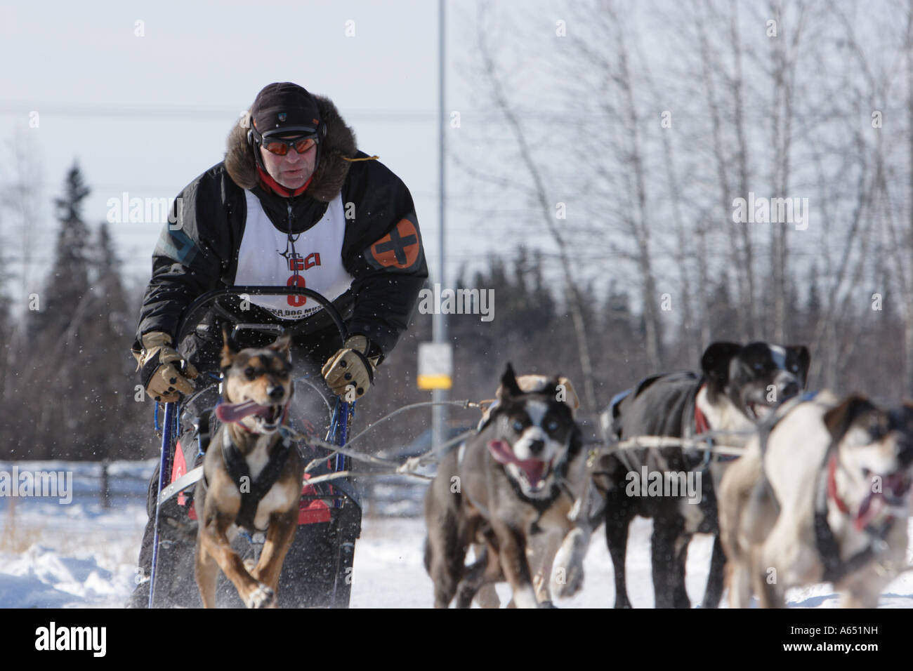 A musher and his team race in the 2007 Open North American ...