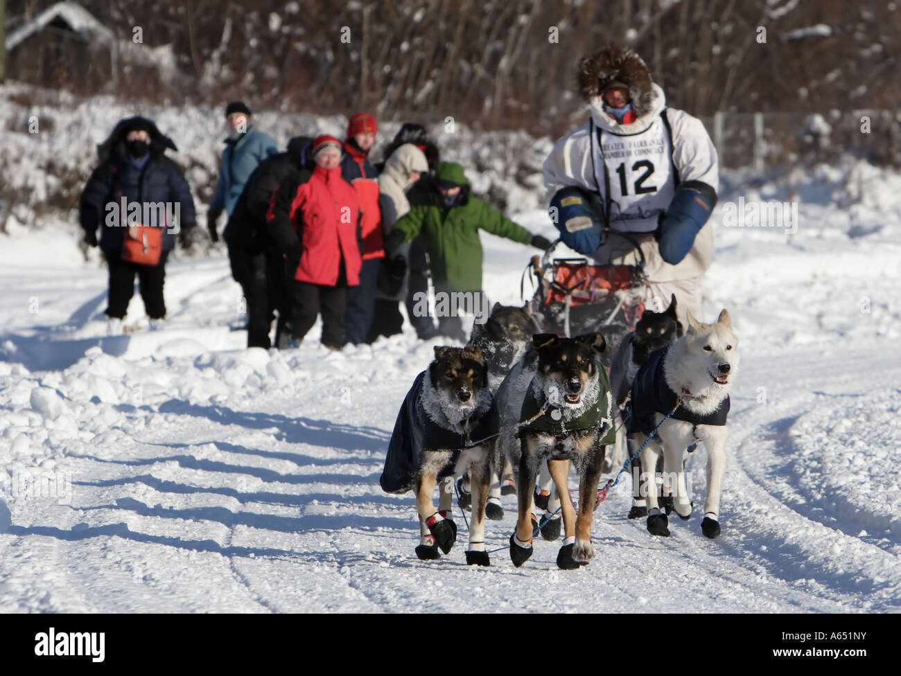 Lance Mackey mushes his team to a record setting finish in the 2007 ...