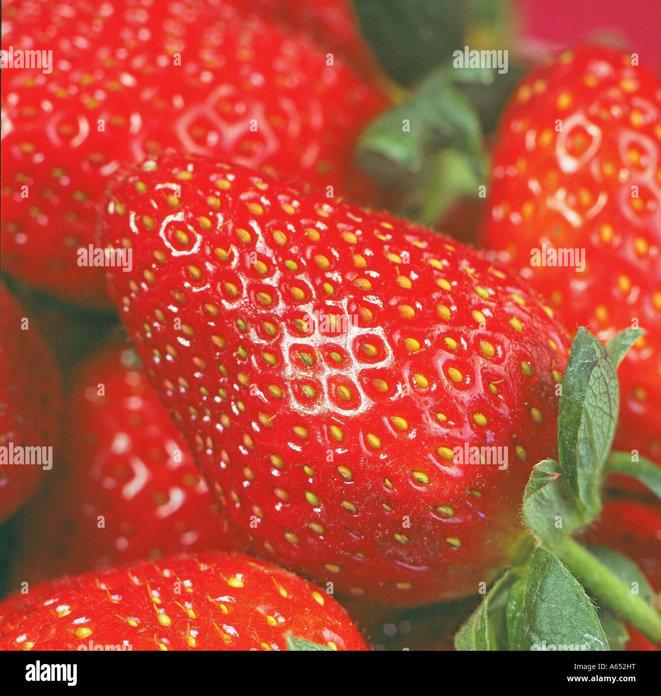Ripe strawberries photos hi-res stock photography and images - Alamy