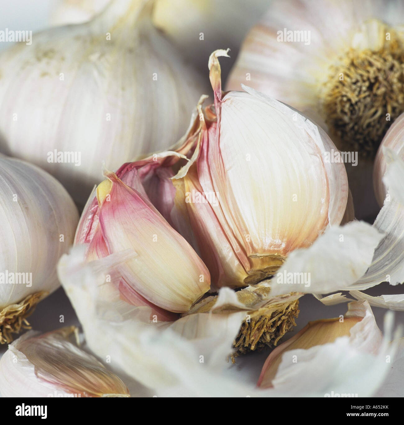 Garlic blub hi-res stock photography and images - Alamy