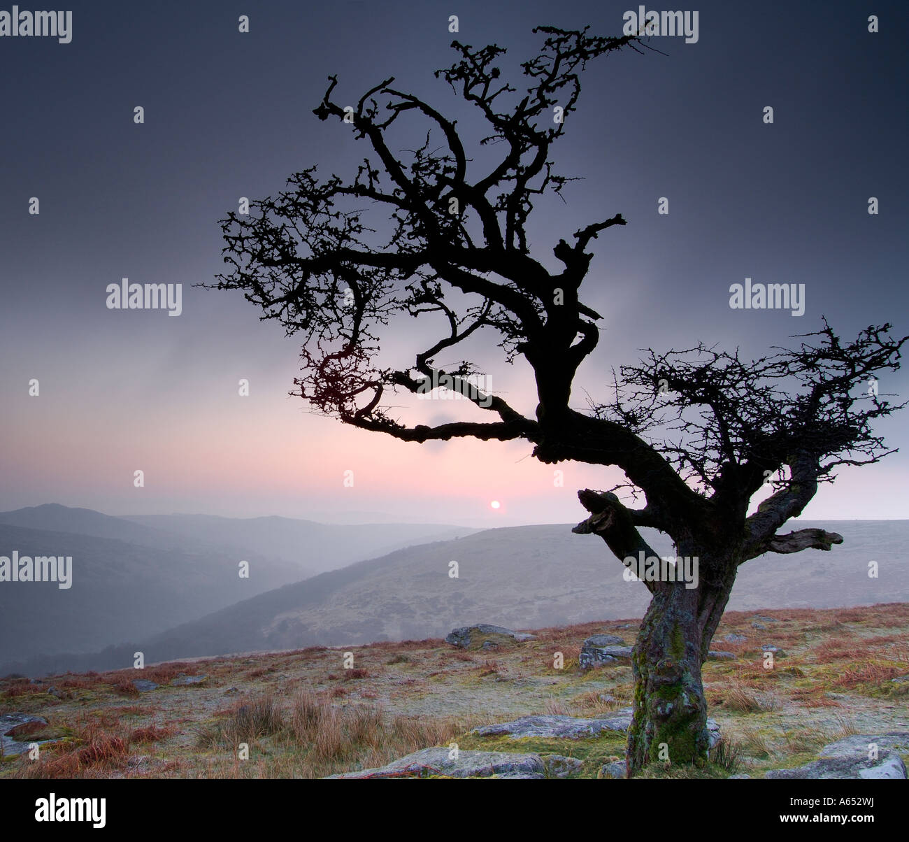 Hazy sunrise at Combestone Tor Dartmoor South Devon England Stock Photo ...