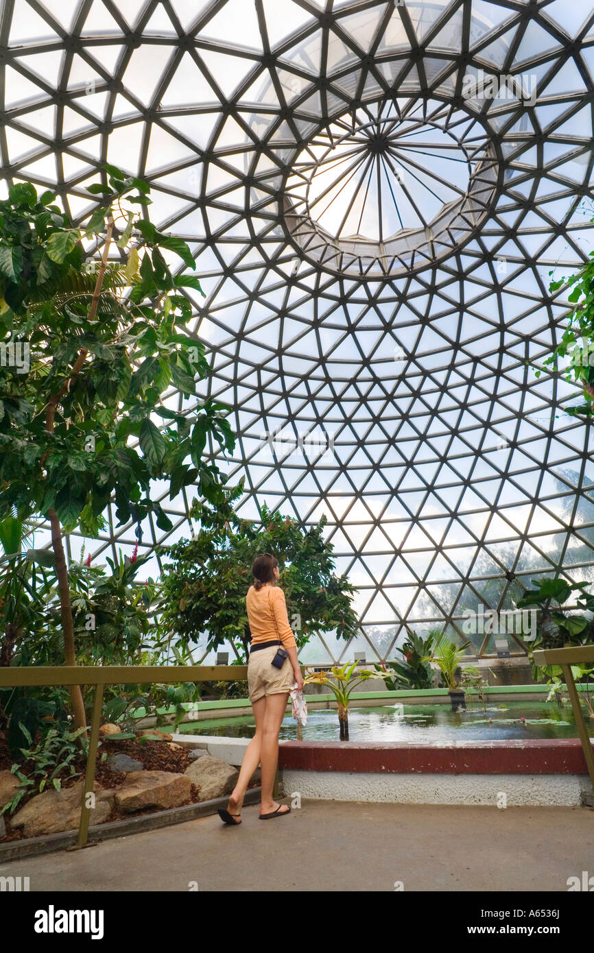 A visitor gazes up at the tropical dome an artificial tropical ...