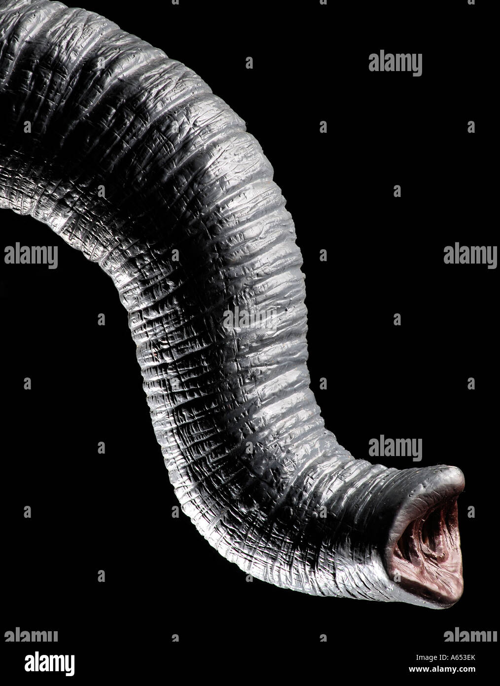 Plastic elephants hi-res stock photography and images - Alamy