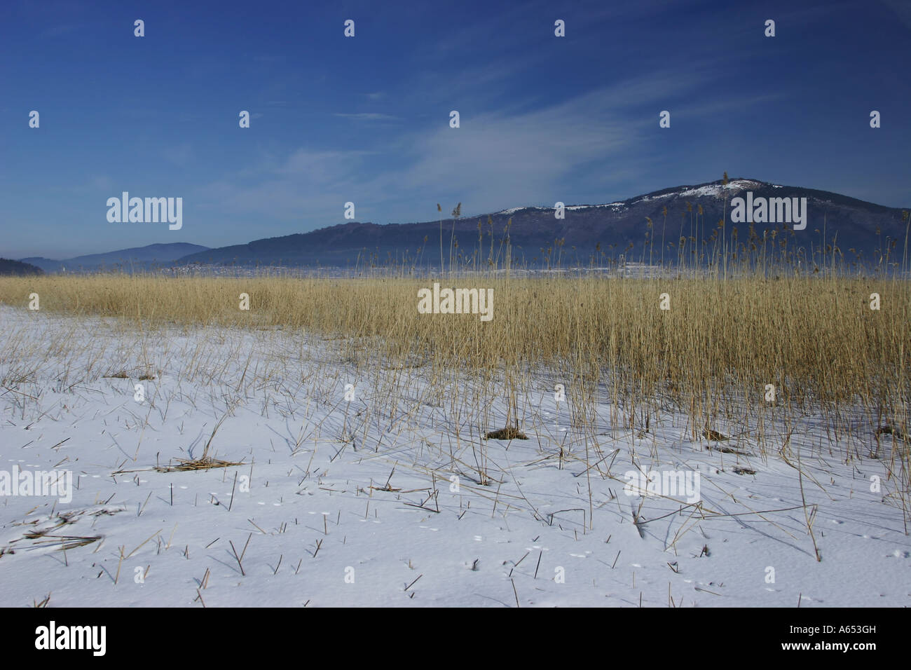 Slivnica hi-res stock photography and images - Alamy