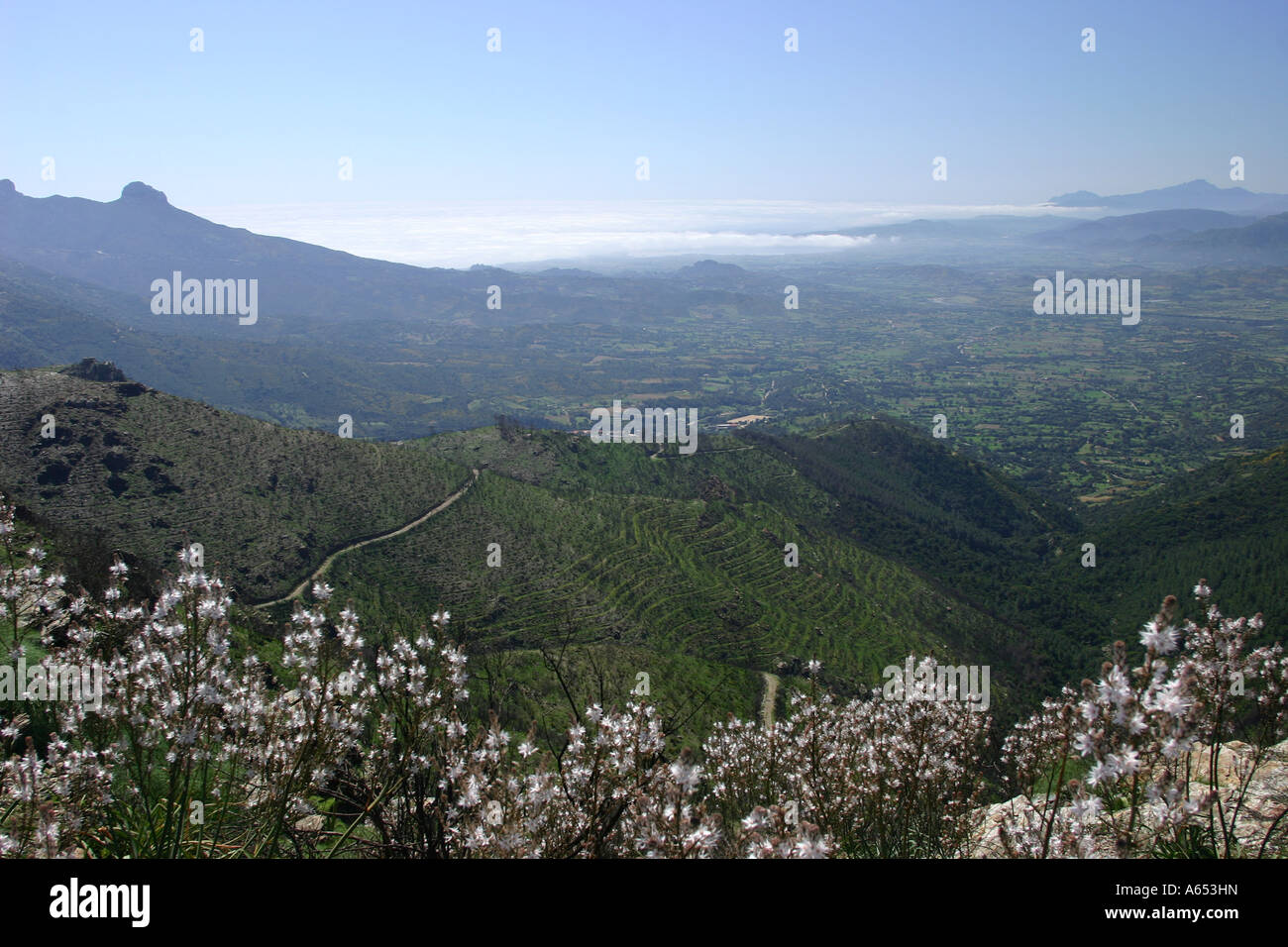 Sardinia landscape, Italy Stock Photo - Alamy