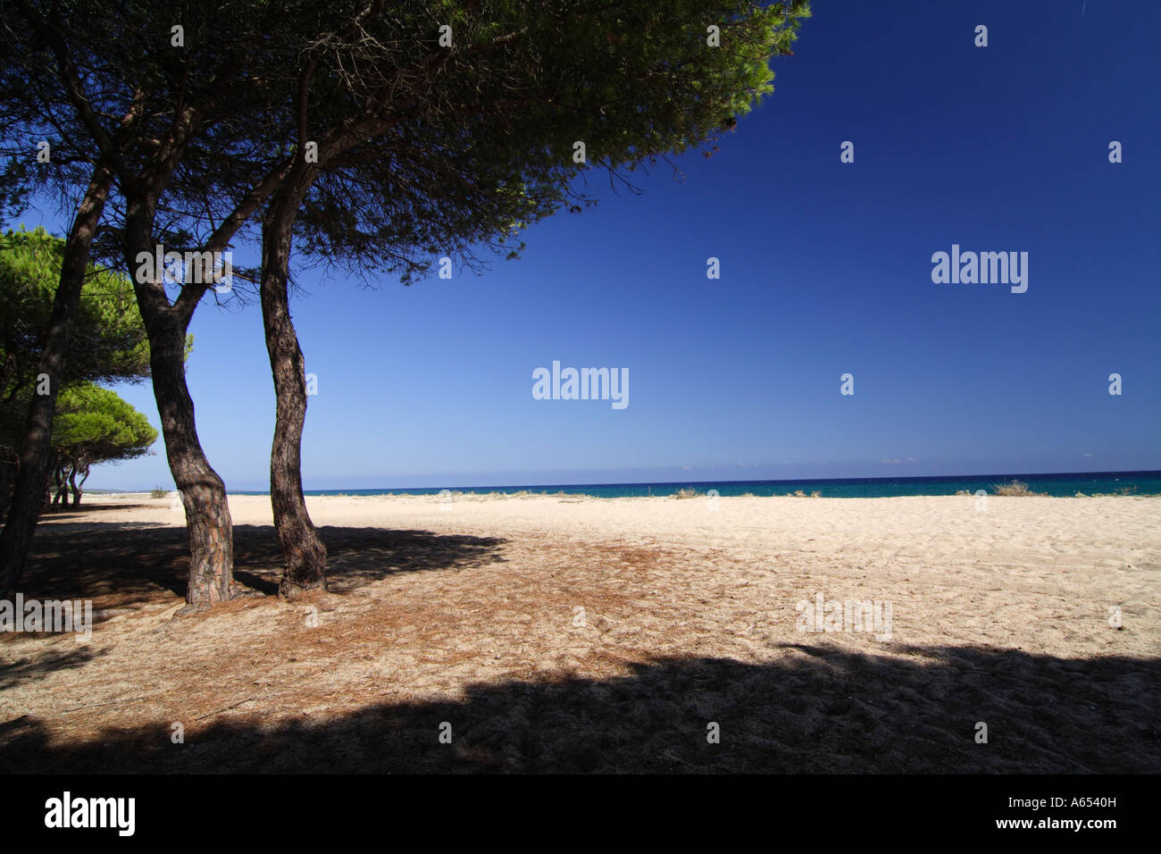 Beach, Golfo di Orosei, Sardinia Italy Stock Photo - Alamy