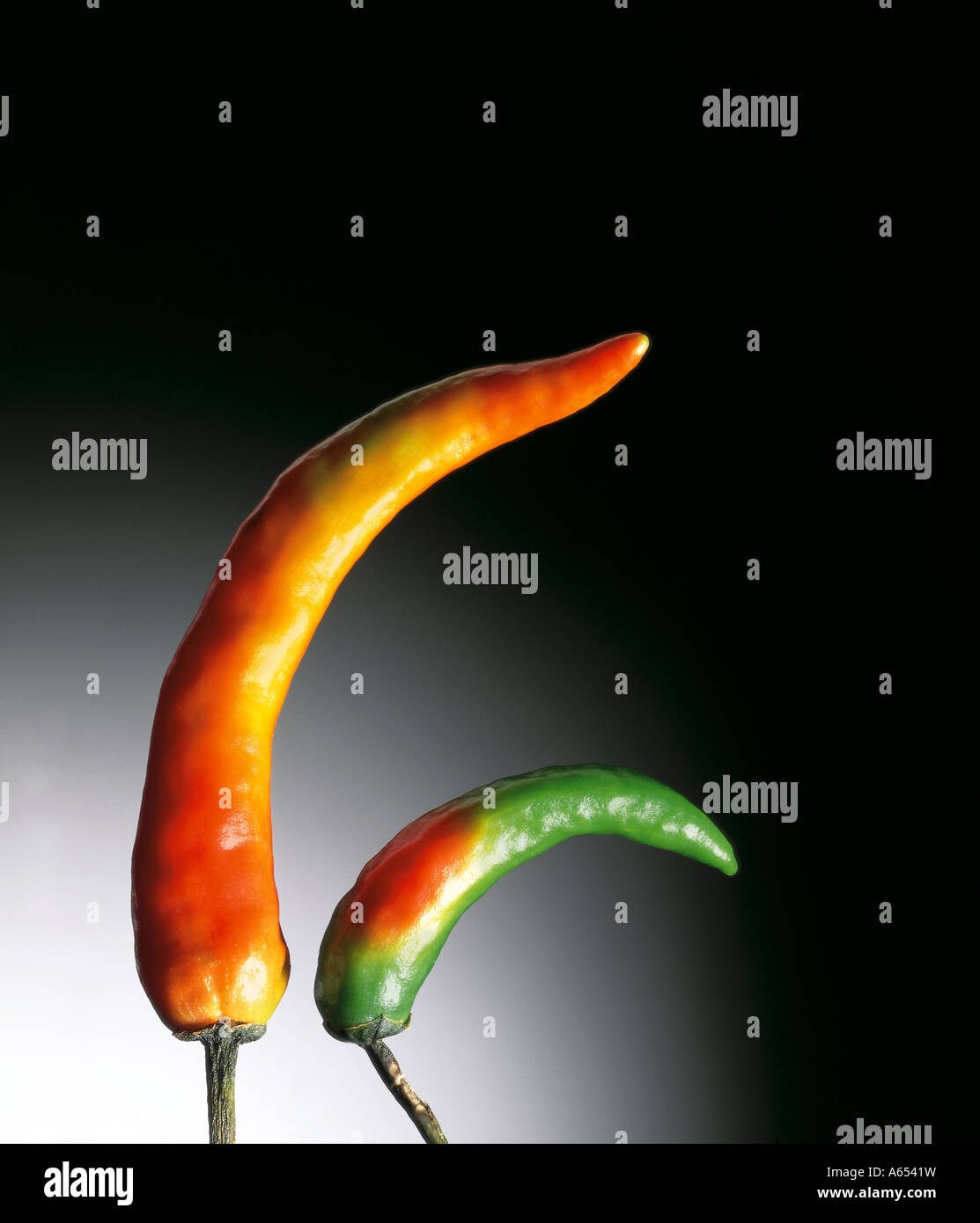 Chilli pepper hi-res stock photography and images - Alamy