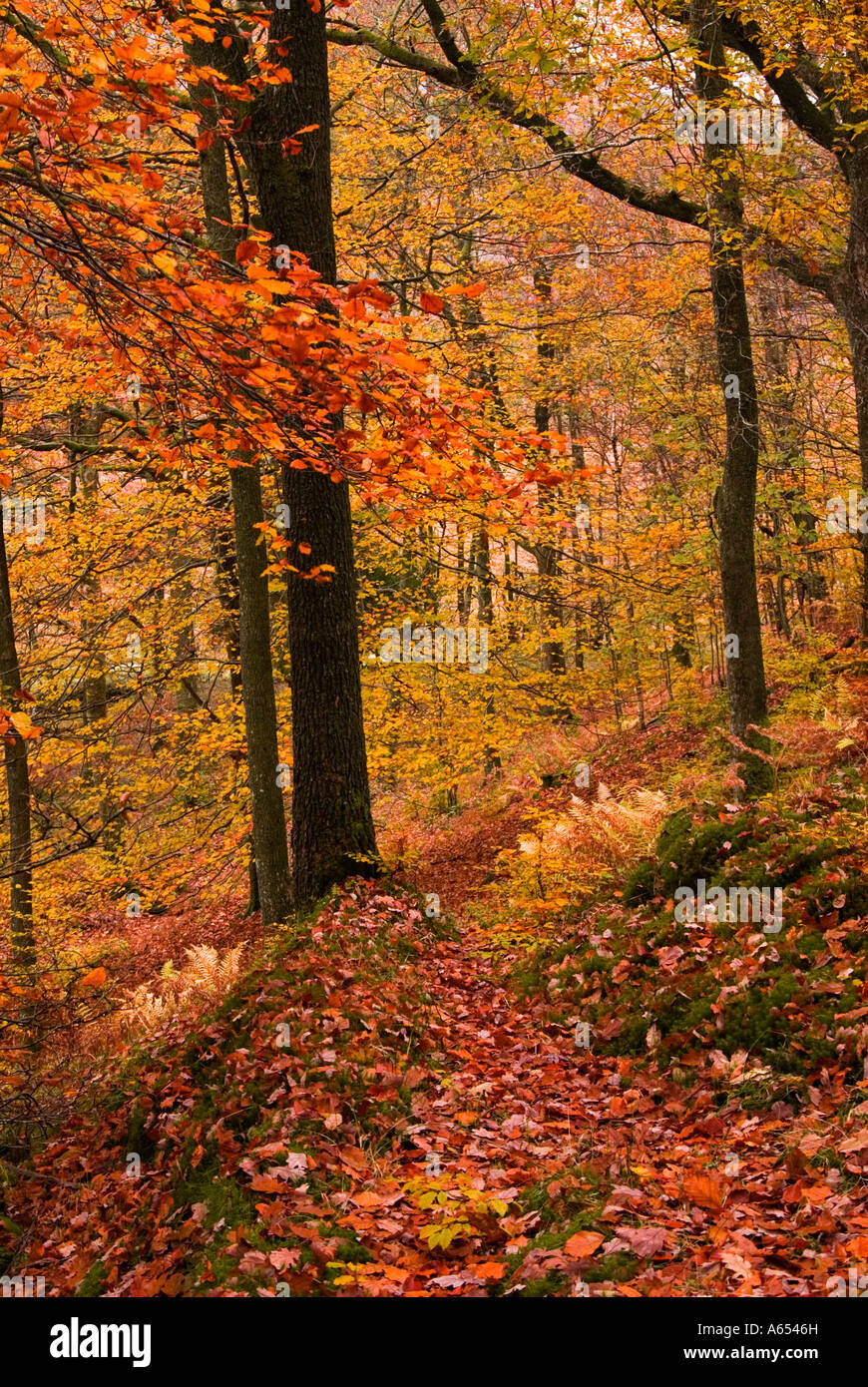 Castlehead hi-res stock photography and images - Alamy