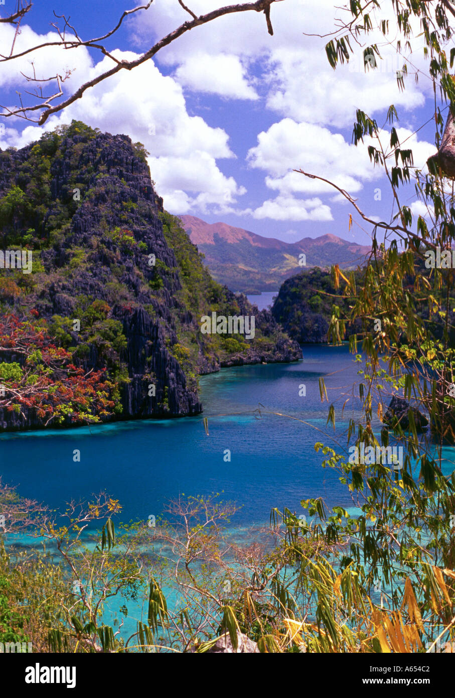Coron Bay Busuanga Palawan Philippines Stock Photo - Alamy