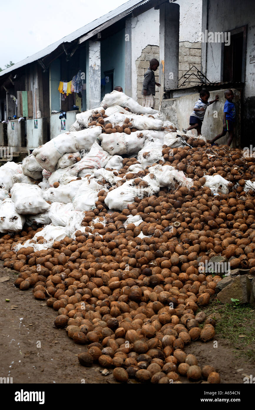 Coconuts piled high near the town of Sao Joao dos Angolares in Sao Tome ...