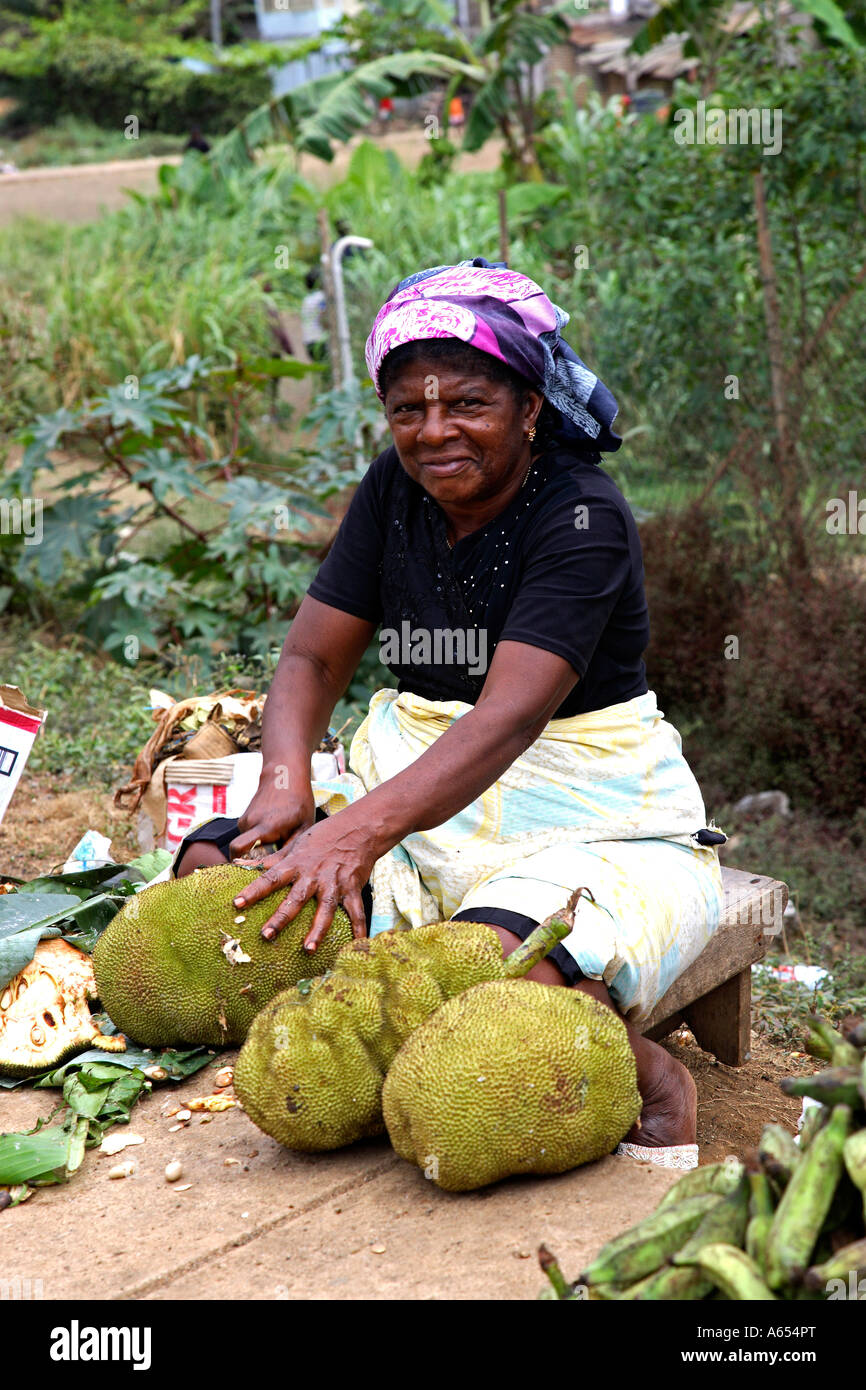 A Sao Tomense lady sells a fruit called Jaca on the road side in Sao ...
