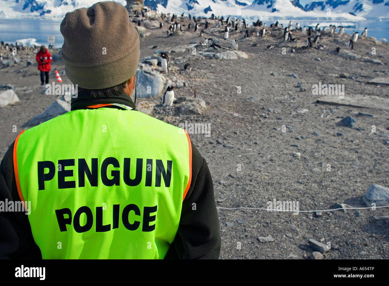Antarctica penguin police chinstrap hi-res stock photography and images ...