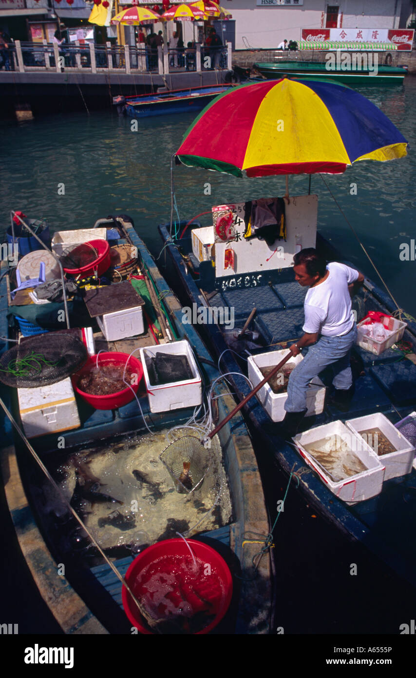 Scoops up fish hi-res stock photography and images - Alamy